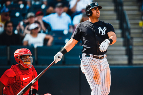 Actividades – Entrada para Los Yankees de Nueva York | See USA Tours
